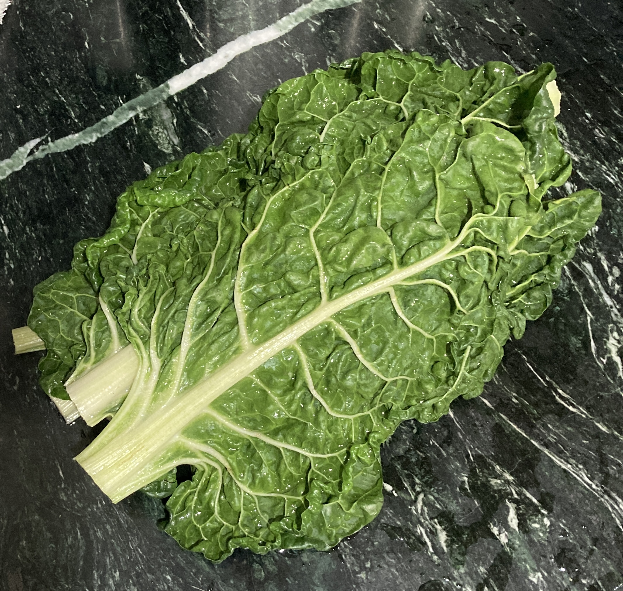 Chard and Cabbage – Rick Bailey